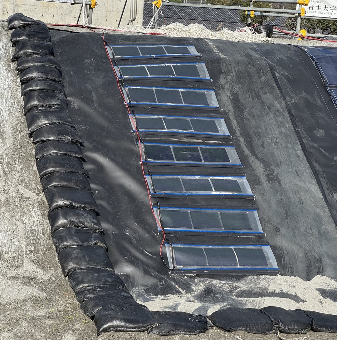 マクニカ、社内DXを迅速かつ柔軟に立ち上げ、その知見と実践ノウハウを活かした 企業向け支援プログラム「Digital Execution ...