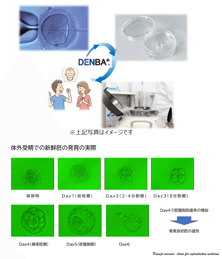 吸って、整う。天然成分配合 吸うサプリ 「DENBA Mist」発売開始のお知らせ | DENBA JAPAN株式会社