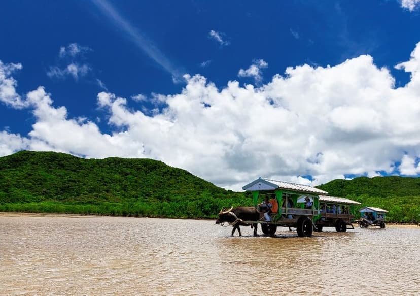 京セラ製法人向けスマホ「DIGNO(R) BX3」 3種のバリエーションで2024年11月29日（金）から ソフトバンクにて販売開始 | 京セラ株式会社