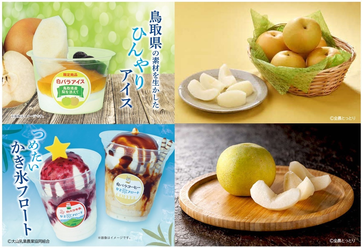 大阪・関西万博で『とっとりフェス』第2弾！ご当地グルメの物産展など、8月19日（火）から25日（月）まで関西パビリオン多目的エリアで限定開催 | NEWSCAST