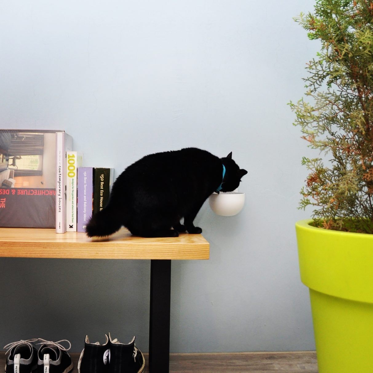 “猫のご飯の悩み”に向き合い開発 どこでも取り付けられるマグネットペットボウル 「バブルボウル」をMakuakeにて11月15日まで販売中 ...