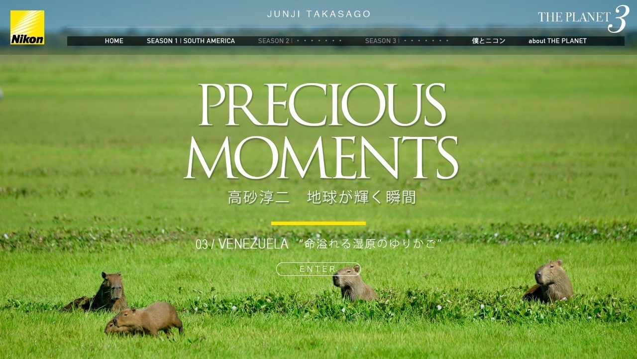 THE PLANET 3」PRECIOUS MOMENTS 高砂淳二 地球が輝く瞬間』 第3回：「VENEZUELA 命溢れる湿原のゆりかご ...