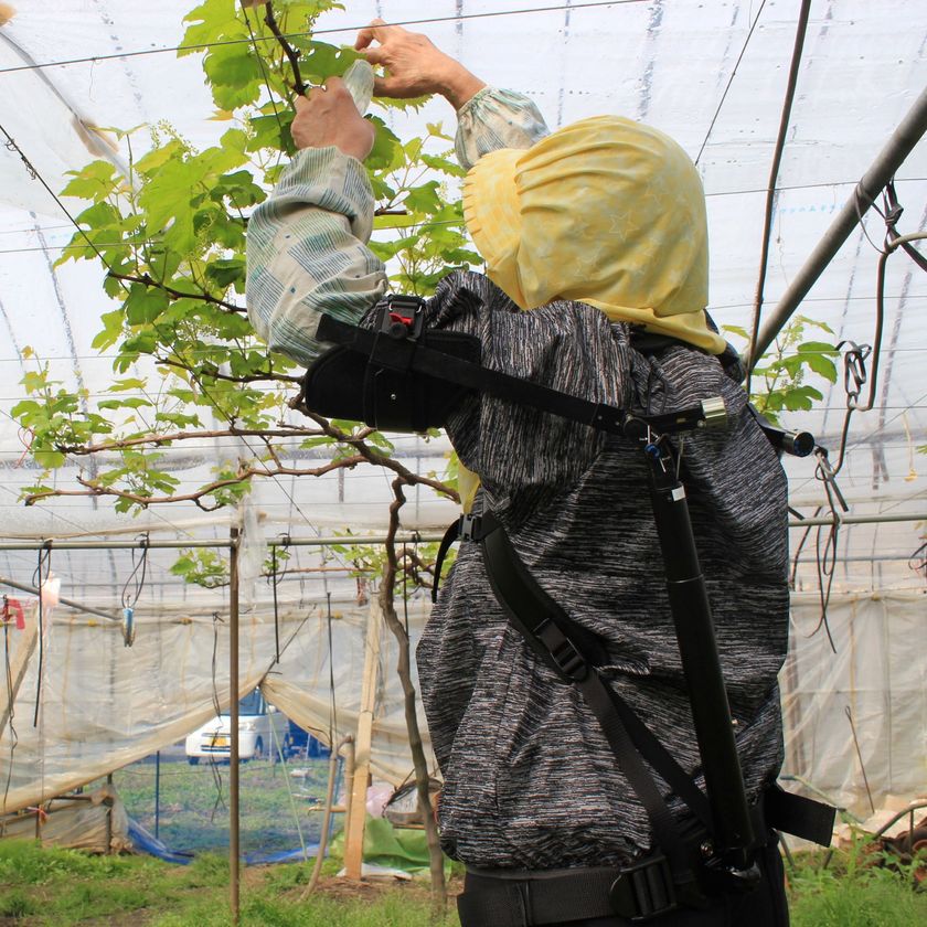 腕上げ作業用アシストスーツ『TASK AR』の最新機種3.0が登場！女性や高齢者にも使いやすい仕様となって、2021年5月に販売開始｜株式会社ダイドーのプレスリリース